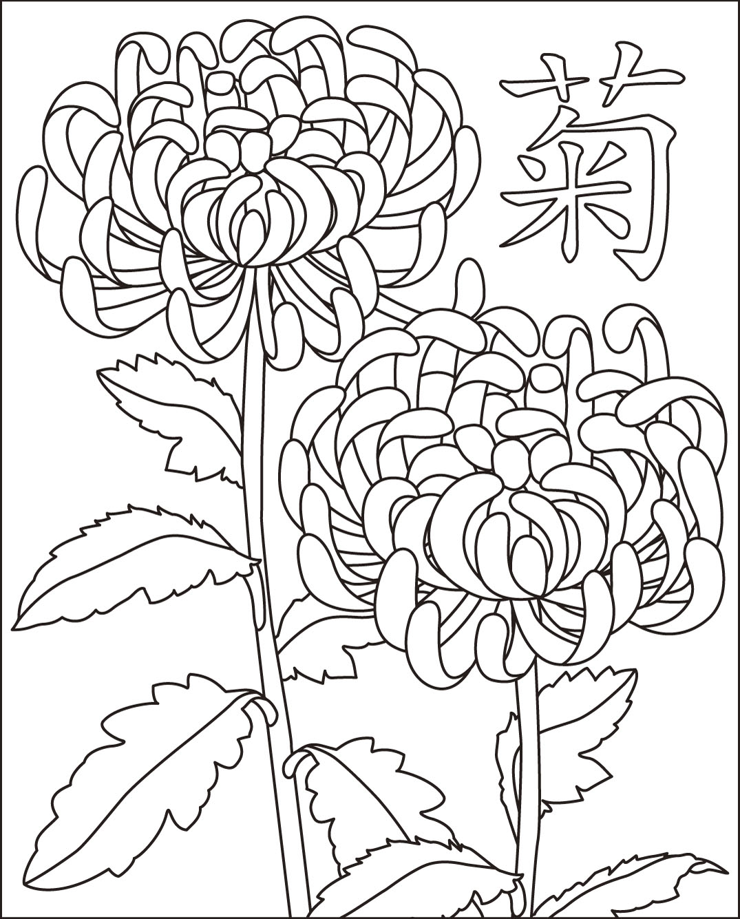 高齢者レク素材 菊定番塗り絵介護レク広場レク素材やレクネタ企画書の無料ダウンロード
